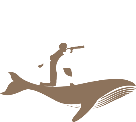 Vigía – The Blue Boat Initiative