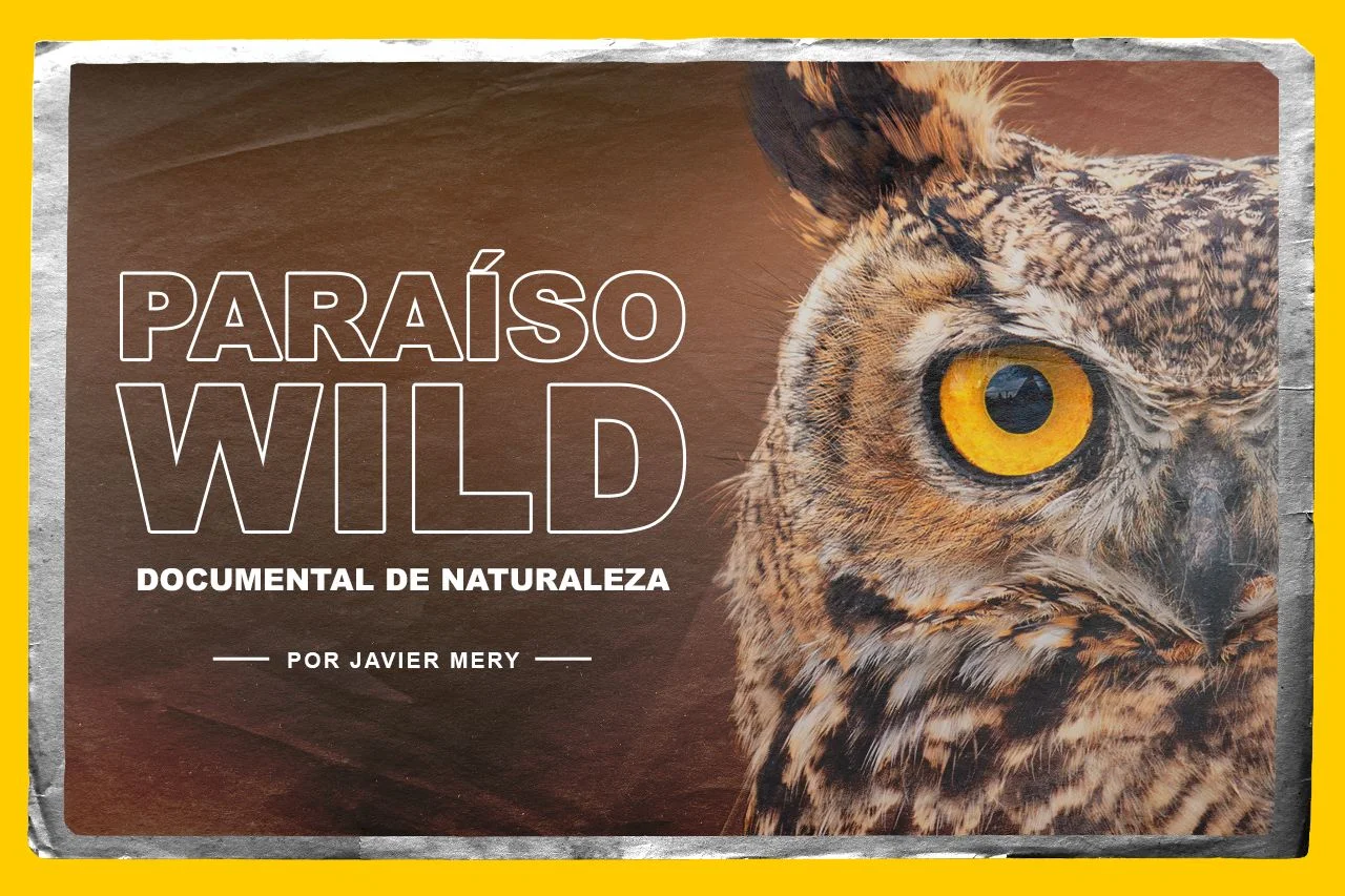 Paraíso Wild: The acclaimed Chilean documentary series, created and ...
